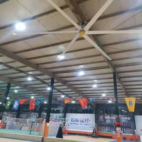 DX-7.3 24FT Large Hvls Industrial Ceiling Fan for Gymnasium Center ...